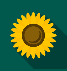 Yellow sunflower icon design Royalty Free Vector Image