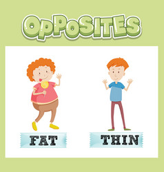 Opposite adjectives fat and thin Royalty Free Vector Image