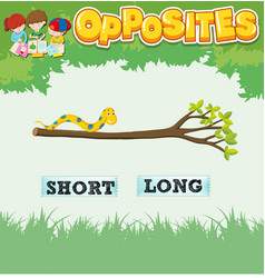 Opposite adjectives short and long Royalty Free Vector Image