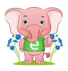 Alphabet e with elephant cartoon Royalty Free Vector Image