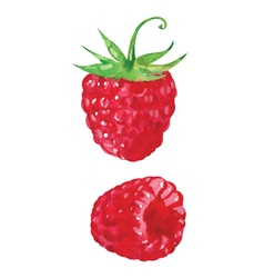 Lemon Royalty Free Vector Image - VectorStock