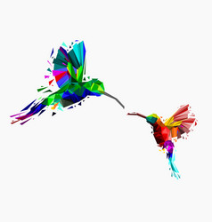 Rainbow hummingbird with infinity Royalty Free Vector Image