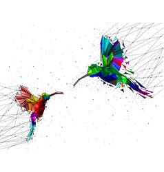 Isolated low poly colorful hummingbird with white Vector Image