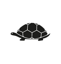 Turtle icon images Royalty Free Vector Image - VectorStock
