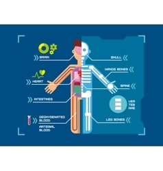 Human body systems Royalty Free Vector Image - VectorStock