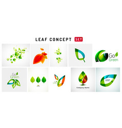 Set of tree leaves Royalty Free Vector Image - VectorStock