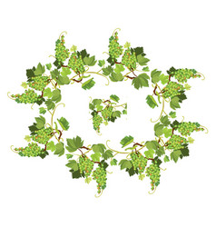 Grape square frame Royalty Free Vector Image - VectorStock