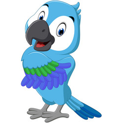 Cute macaw cartoon Royalty Free Vector Image - VectorStock