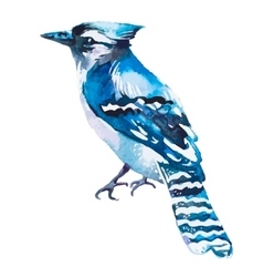 Blue jay animation sprite vector by gaguproject - Image #1618548 ...