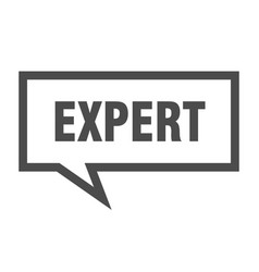 Expert sign square speech bubble Royalty Free Vector Image