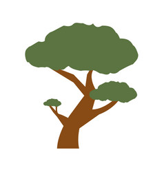 Bonsai tree icon set Royalty Free Vector Image