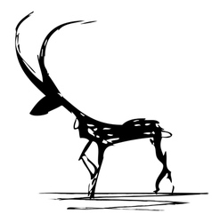 Antelope series blackbuck Royalty Free Vector Image