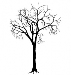 Birch tree silhouette Royalty Free Vector Image