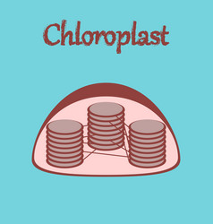 Icon in flat style chloroplast Royalty Free Vector Image