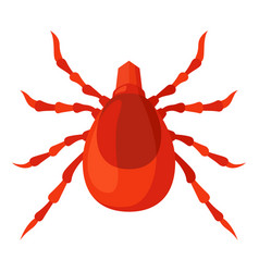 Mite Royalty Free Vector Image - VectorStock
