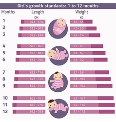 Baby development stages milestones first one year Vector Image