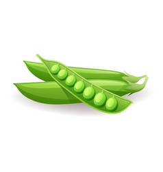 Green peas in a pod Royalty Free Vector Image - VectorStock