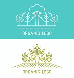 Tree logos Royalty Free Vector Image - VectorStock