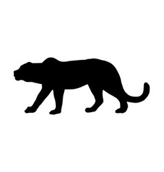 Snow leopard silhouette Royalty Free Vector Image
