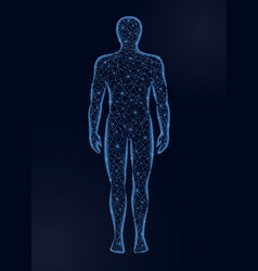 3d wireframe human body Royalty Free Vector Image