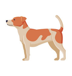 Cartoon calf side view Royalty Free Vector Image