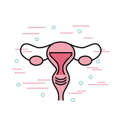 Reproduction process human infographic Royalty Free Vector