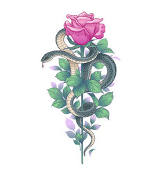 Twisted snake and rose flowers Royalty Free Vector Image
