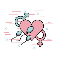 Reproduction process human infographic Royalty Free Vector