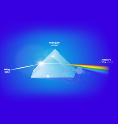 Dispersion colorful spectrum light glass prism Vector Image