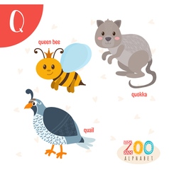 Zoo alphabet with funny animals q r s t letters Vector Image