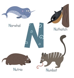 Whale w letter cute children animal alphabet Vector Image