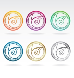 Shell swirl Royalty Free Vector Image - VectorStock