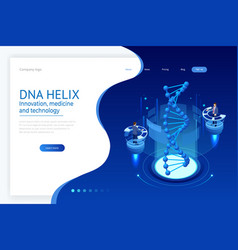 Isometric developing programming and coding Vector Image