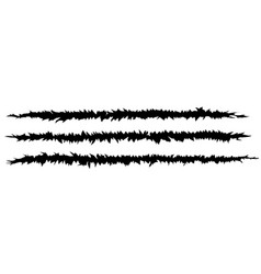 Find your wild - slogan with claw scratch Vector Image