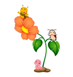 Boy are playing with three rabbits Royalty Free Vector Image