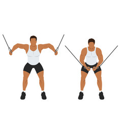 Man doing cable triceps kickbacks exercise Vector Image