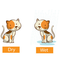 Opposite adjectives with blunt and sharp Vector Image