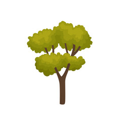 Tree Royalty Free Vector Image - VectorStock