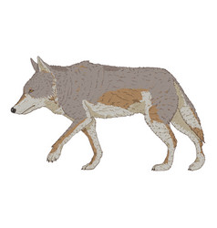 Cartoon calf side view Royalty Free Vector Image