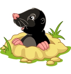 Mole Royalty Free Vector Image - VectorStock