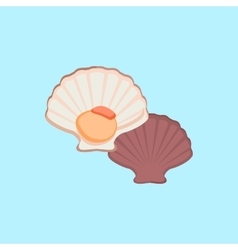 Cartoon shell colored Royalty Free Vector Image