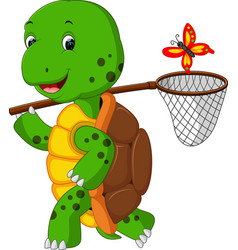 Cute turtle cartoon Royalty Free Vector Image - VectorStock