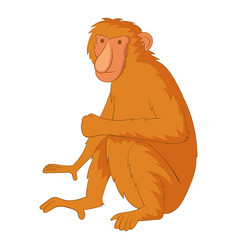Proboscis monkey icon cartoon style Royalty Free Vector