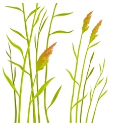 Reed silhouette set Royalty Free Vector Image - VectorStock