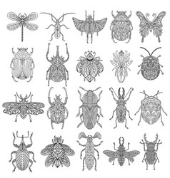 Label template with different types of insects Vector Image