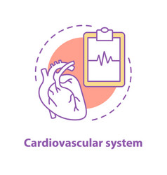 Flat design circulatory system infographic Vector Image