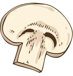 3d champignon mushroom slice realistic icon Vector Image