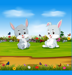 Boy are playing with three rabbits Royalty Free Vector Image