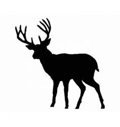 Low poly deer with space for text Royalty Free Vector Image