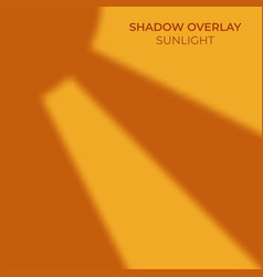 Sheikh zayed mosque background image Royalty Free Vector